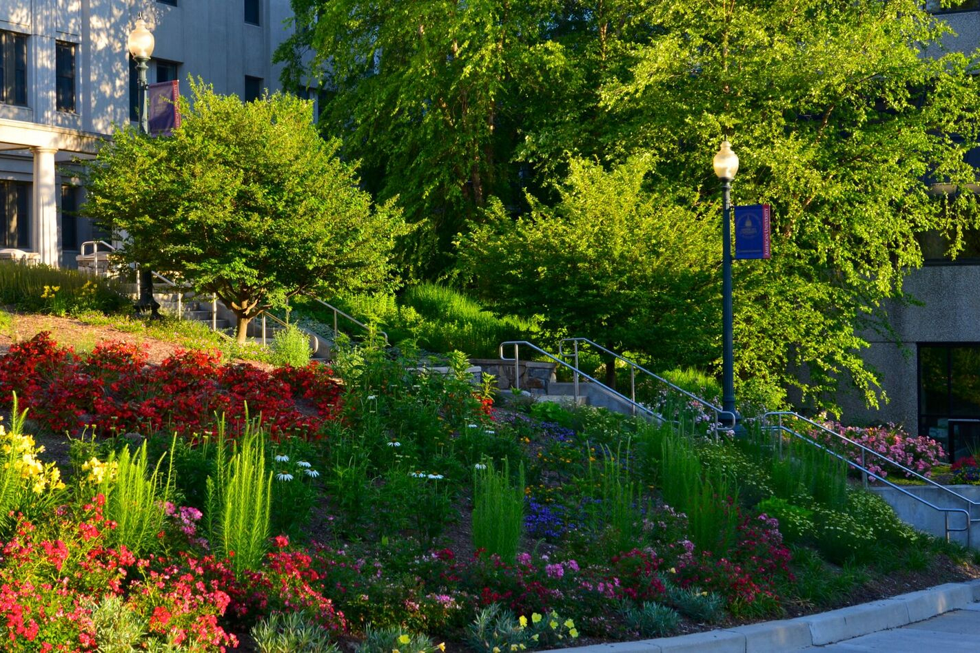 How Landscaping At Educational Institutions Attracts Students and ...